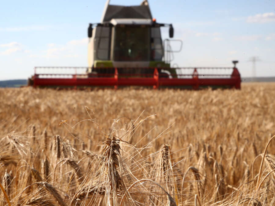 Erntefest in Bredehorn: Bunter Festumzug und viel Unterhaltung