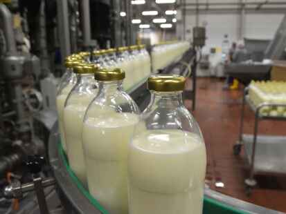 Turm-Sahne aus Oldenburg: Erfolg mit Milch aus dem Glas