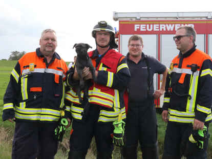 Feuerwehreinsatz in Schweiburg: Kameraden retten Hund aus Graben