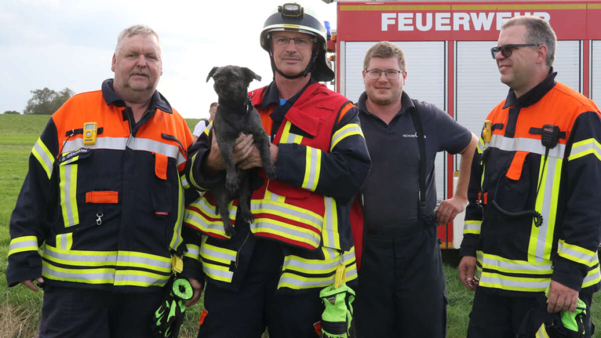 Feuerwehreinsatz in Schweiburg: Kameraden retten Hund aus Graben
