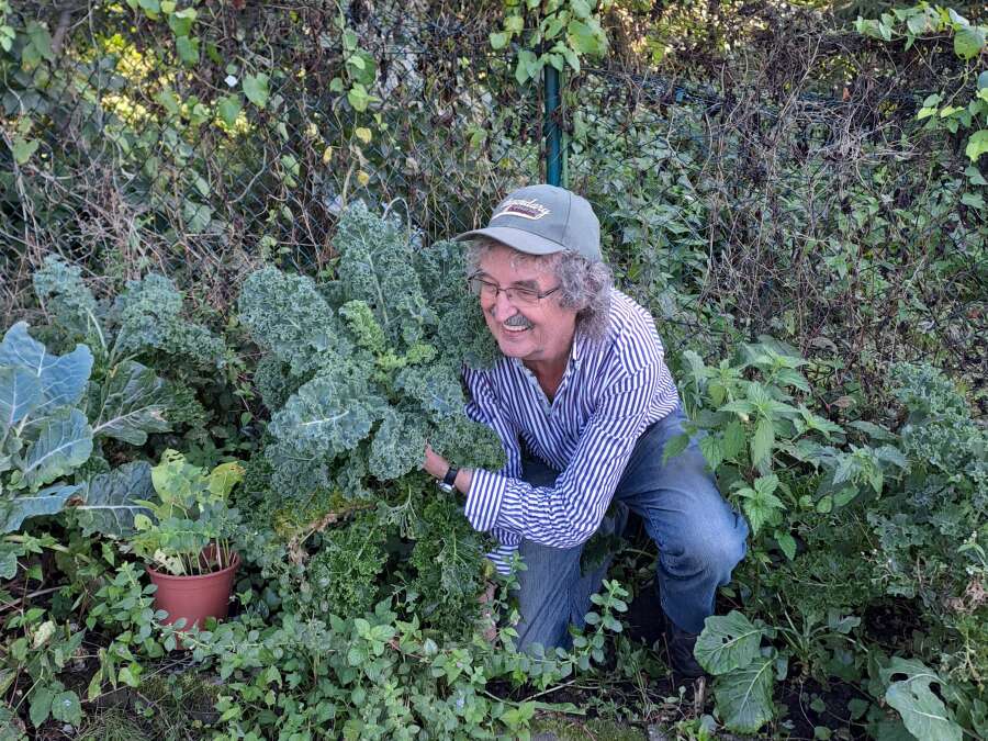 Grünkohl als Naturheilmittel: Heilpraktiker Karl-Heinz Peper hat die ...