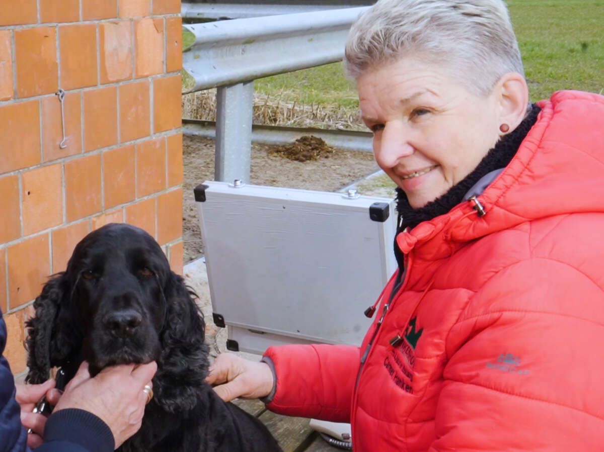 Neues von Carmen Hanken und dem Hankenhof: „Der Hund ist zu schnell ...
