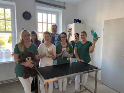 Babyboom bei Tierarzt-Mitarbeiterinnen stellte Norder Praxis vor ...