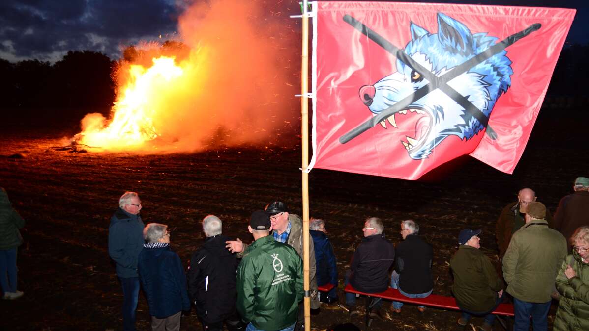 Protest gegen aktuelle Wolfspolitik: Hunderte Mahnfeuer als Zeichen ...