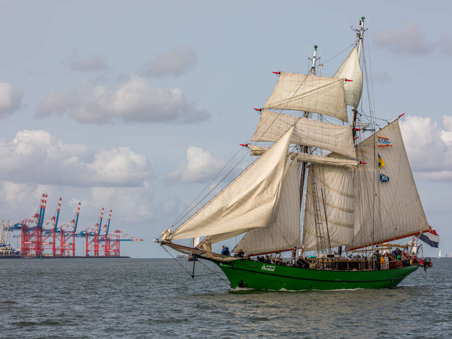 Der grüne Segler „Avatar“ ist viele Jahre beim Sailing-Cup dabei ...