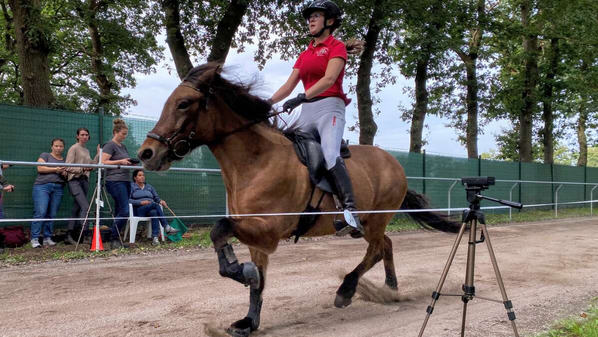 Rückblick auf viertägiges Islandpferde-Turnier in Hatterwüsting ...
