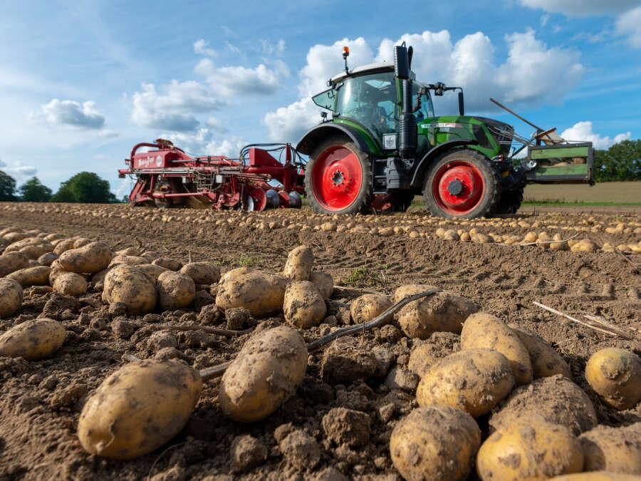 Ökolandbau in Niedersachsen: Bio-Lebensmittel zu teuer für die ...