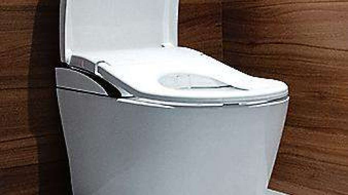 Moderne Toiletten können duschen und föhnen