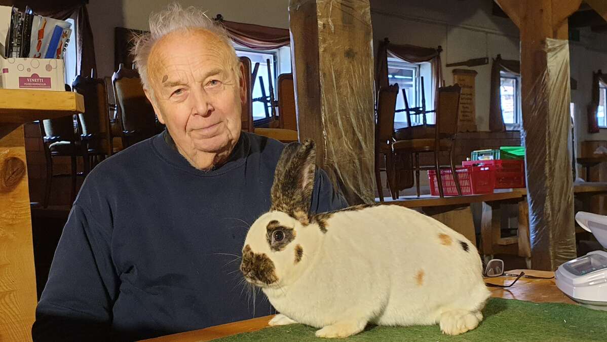 Kaninchenzuchtverein I31 Huntlosen: Club besteht 60 Jahre