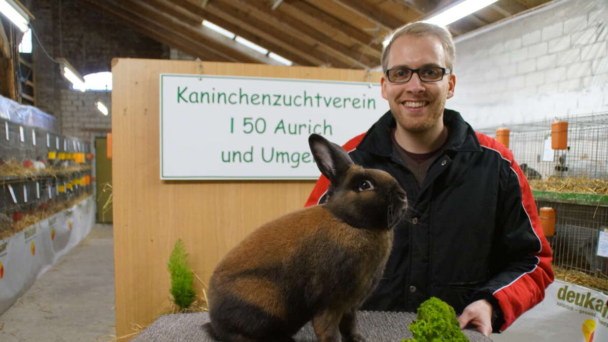 Der Auricher Kaninchenzuchtverein richtet am 18. und 19. November seine Kaninchenschau aus. Was ...