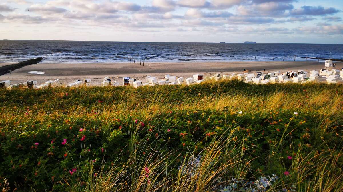 Gäste- und Tourismuszahlen im Landkreis Friesland: So steht es um den Tourismus