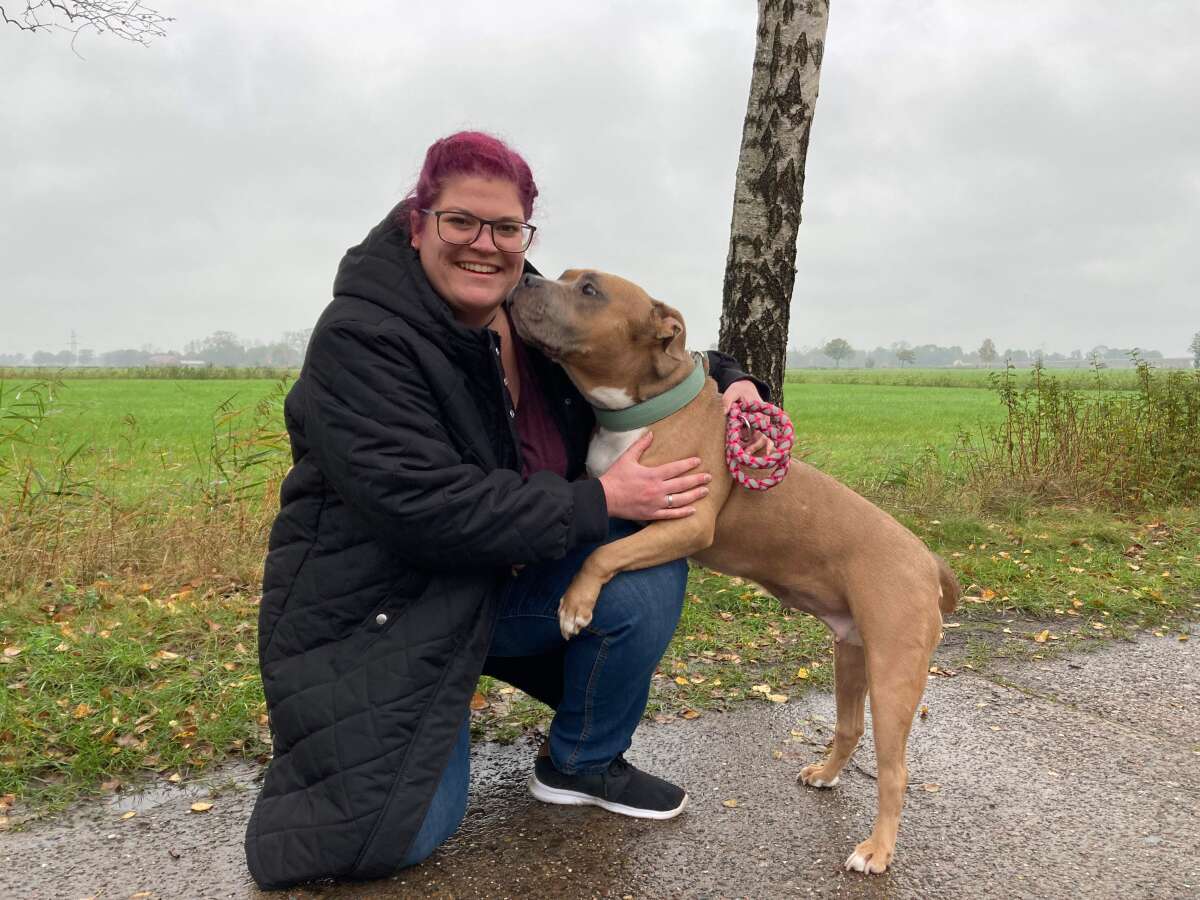 Tiersuchdienst Wesermarsch: Zahl freilaufender Hunde steigt – Britta ...