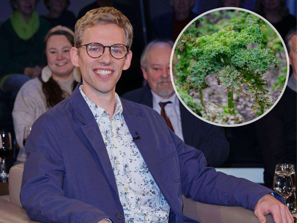 Grünkohl: Rezept-Ideen von Dr. Christoph Hahn in der NDR Talk Show ...