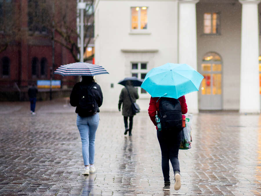 November 2023 in Oldenburg einer der nassesten seit 77 Jahren – 115,3 ...
