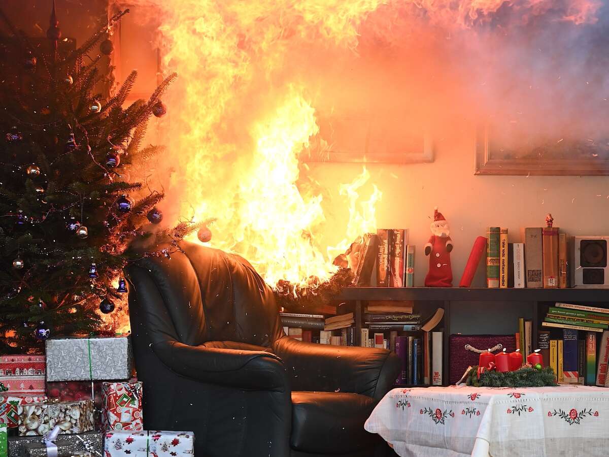 Tannenbaum Feuer 2024: Eine Vorausschauende Analyse - Lange und schöne ...