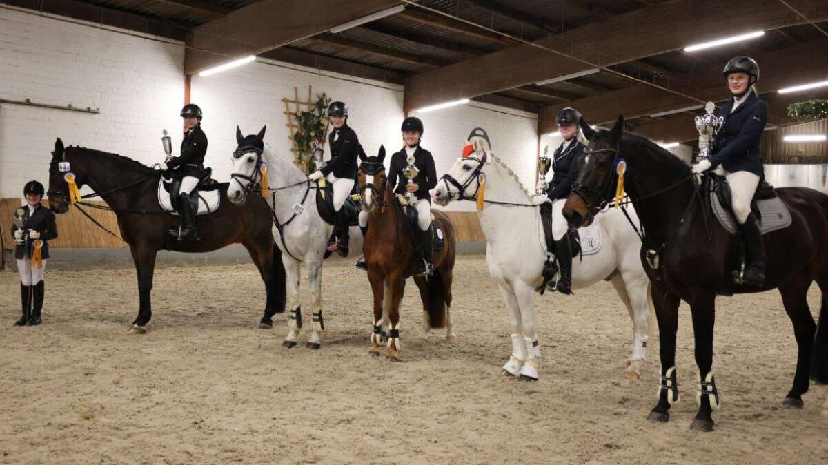 Reiten in Friesland: Neue Vereinsmeister des Reit- und Fahrvereins ...