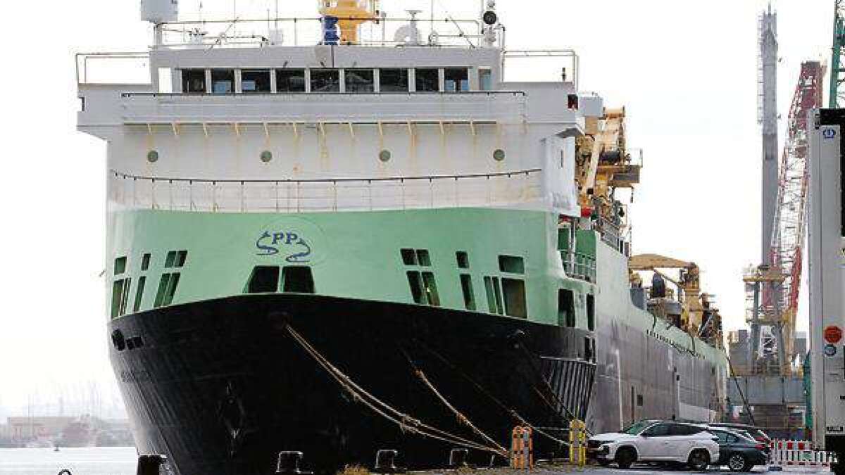 Supertrawler löscht Fisch für afrikanischen Markt