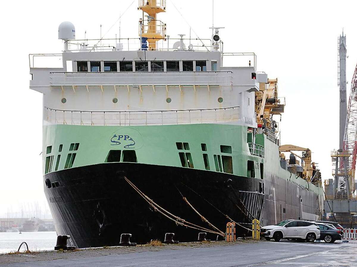 Supertrawler löscht Fisch für afrikanischen Markt