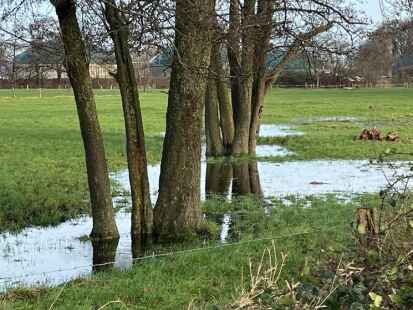 Wasser in Friesland: Nasse Böden erschweren Entwässerung