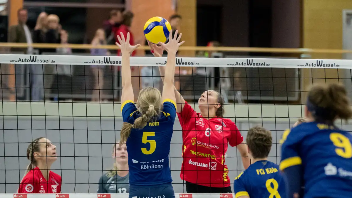 Drittliga-Volleyball der Frauen: TV Cloppenburg empfängt Spitzenreiter