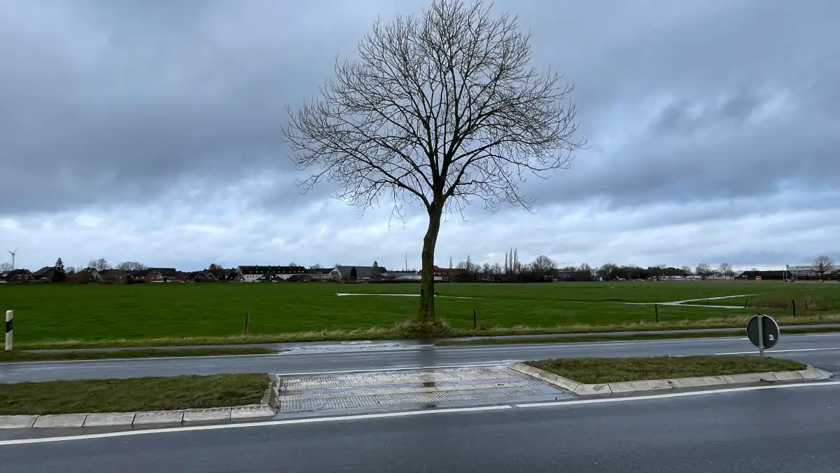 Gemeinde Sande: Neubaugebiet soll südlich am Ortsrand entstehen