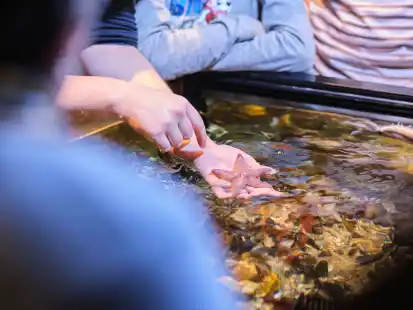 Urlaub im Wangerland: Nationalpark-Haus in Minsen zeigt neue ...
