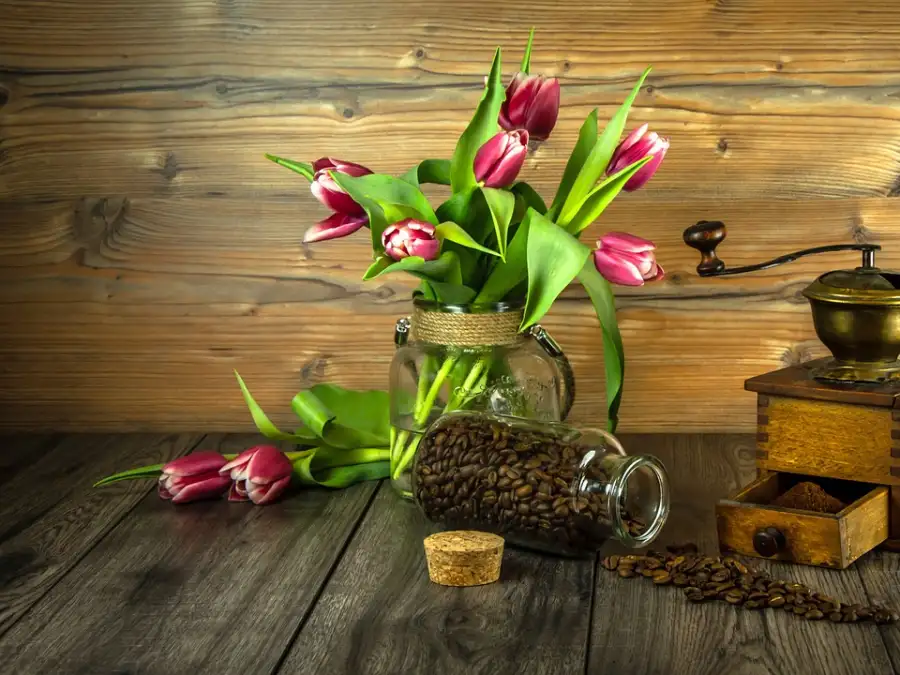 Darmgesundheit: Ballaststoffe für eine gute Verbindung – Tipps von ...