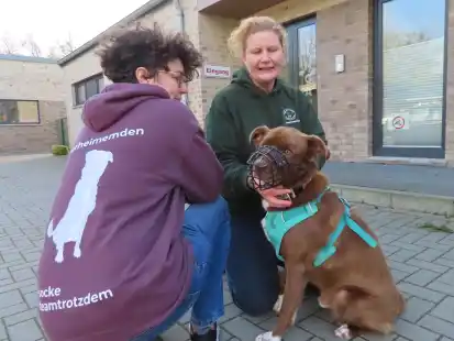 Tierheim Emden: „Team Trotzdem“ will Sorgenhunde wieder alltagstauglich ...