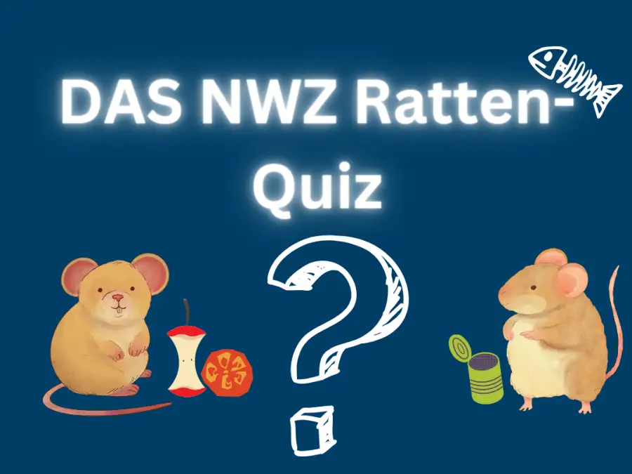 Ratten-Rätsel: Testen Sie Ihr Wissen über die umstrittenen Nager?
