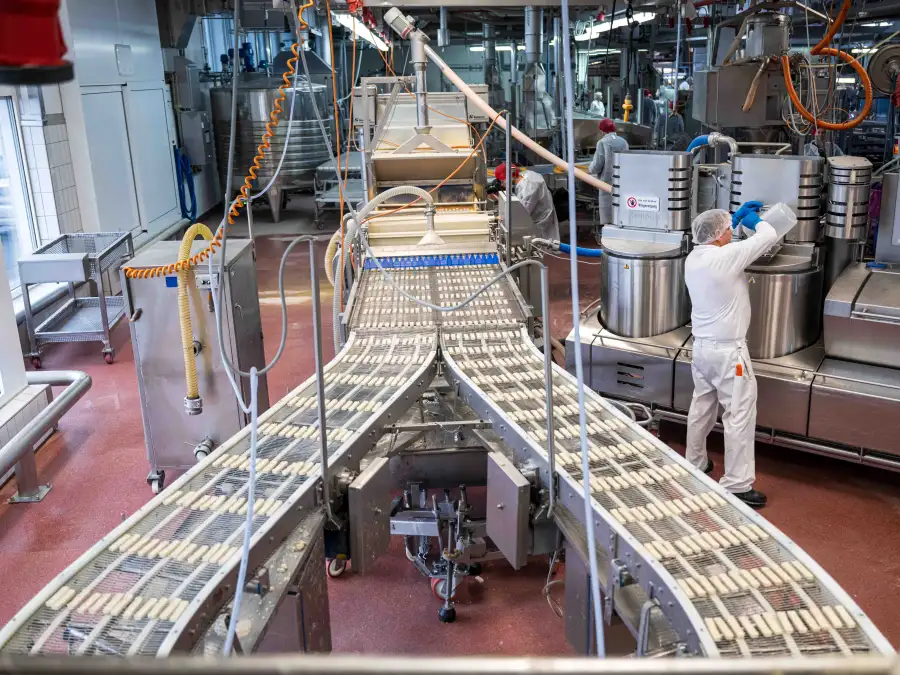 Frosta wächst 2023 mit Fertiggerichten, vegetarischen und veganen ...