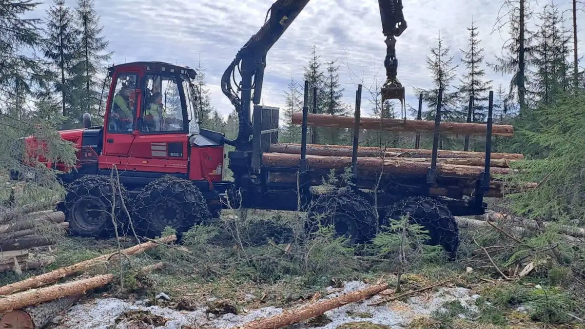 Landesforsten in Neuenburg: -Forstwirt-Azubis entdecken Finnland und ...