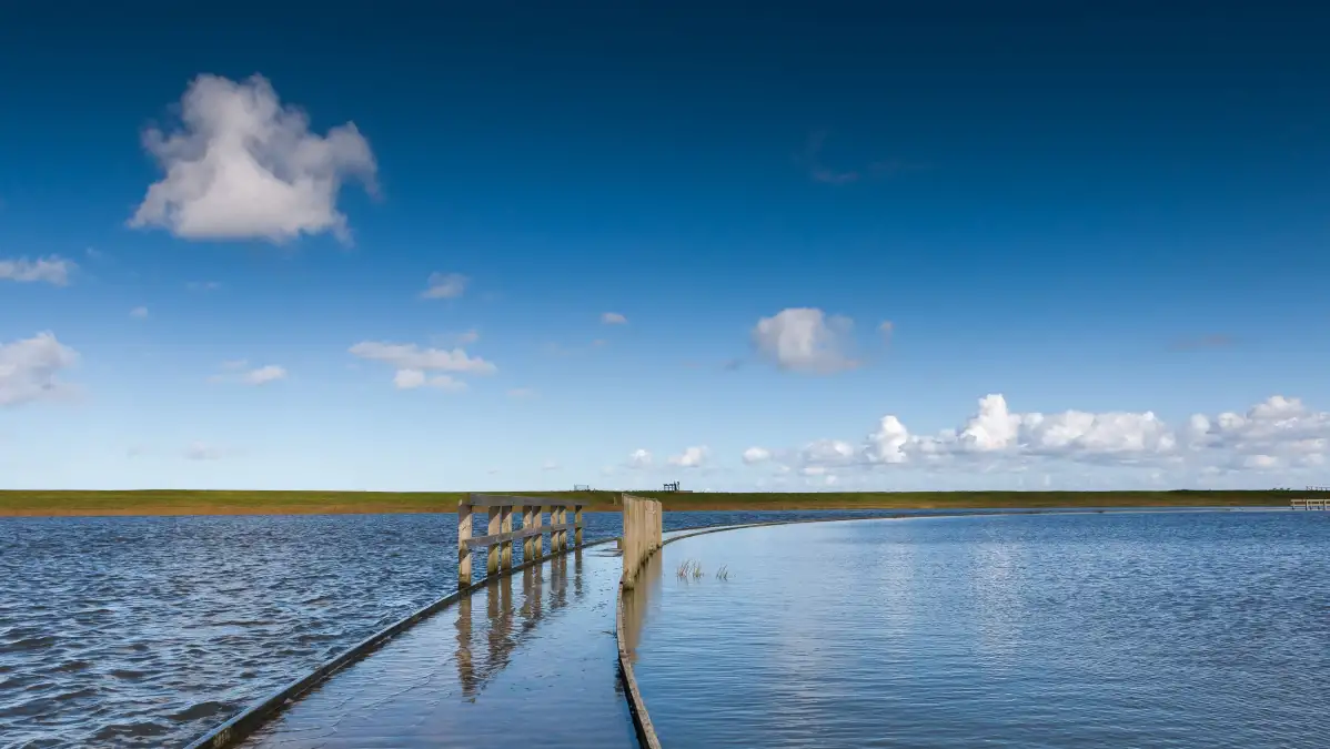 Schönster Wanderweg Deutschlands: Langwarder Groden ist im Rennen