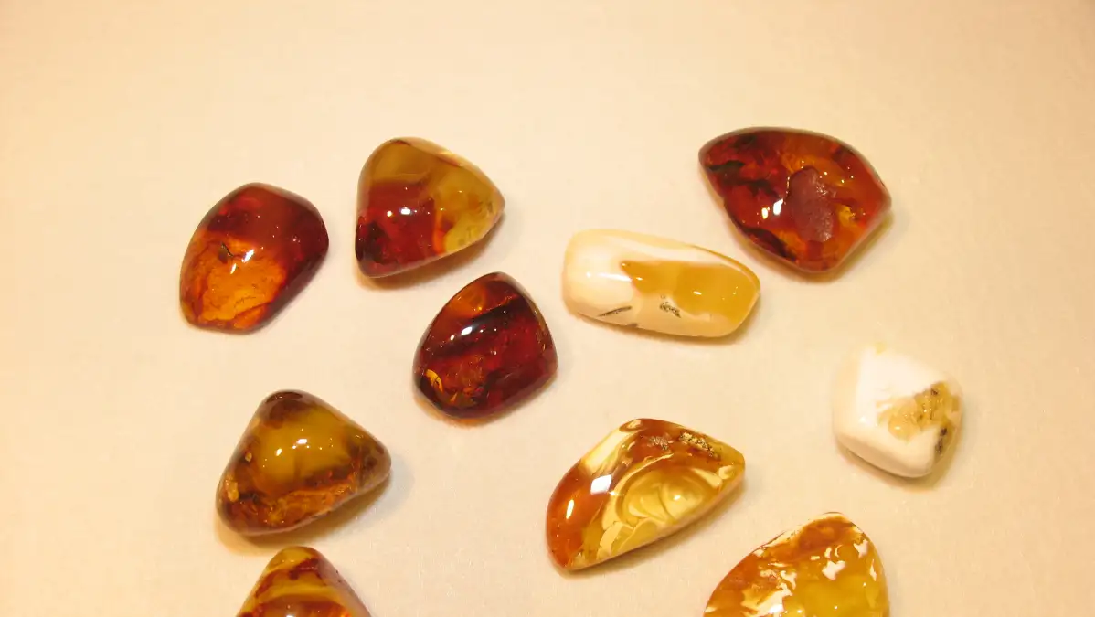 Bernstein aus der Nordsee bestimmen: Mit diesen Merkmalen erkennen Sie ...