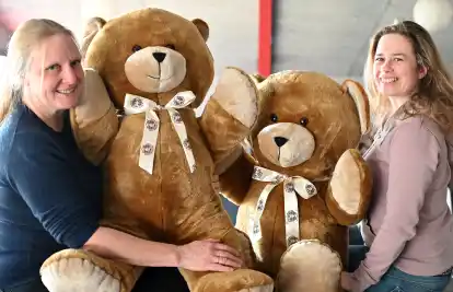 Deutsche Teddy-Stiftung vor 25 Jahren in Esens gegründet: Verein wartet ...