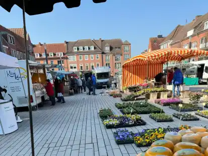 Wochenmarkt in Emden: Käsestand de Zeeg, Vorwerk, Backhaus-Bratwurst ...