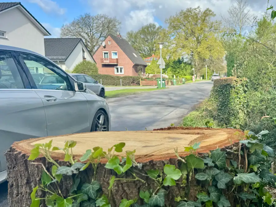 Oldenburg: Bürger am Sandweg befürchten Probleme beim Straßenausbau ...