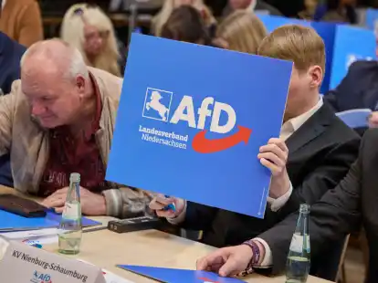 Wechsel an Spitze der AfD in Niedersachsen: Ansgar Schledde folgt Frank ...
