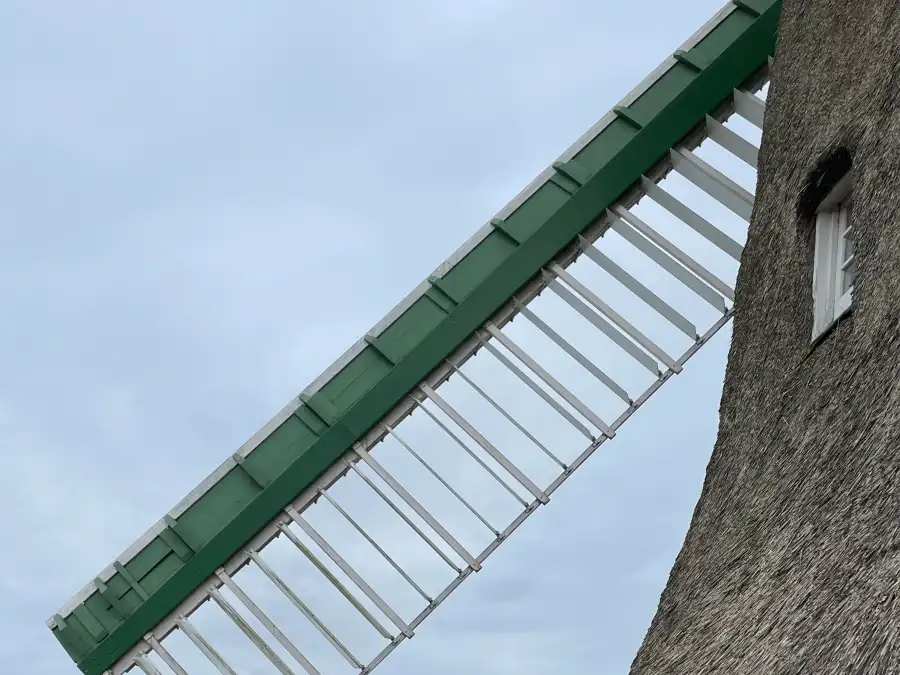 Accumer Mühle: Reetdach muss erneuert werden