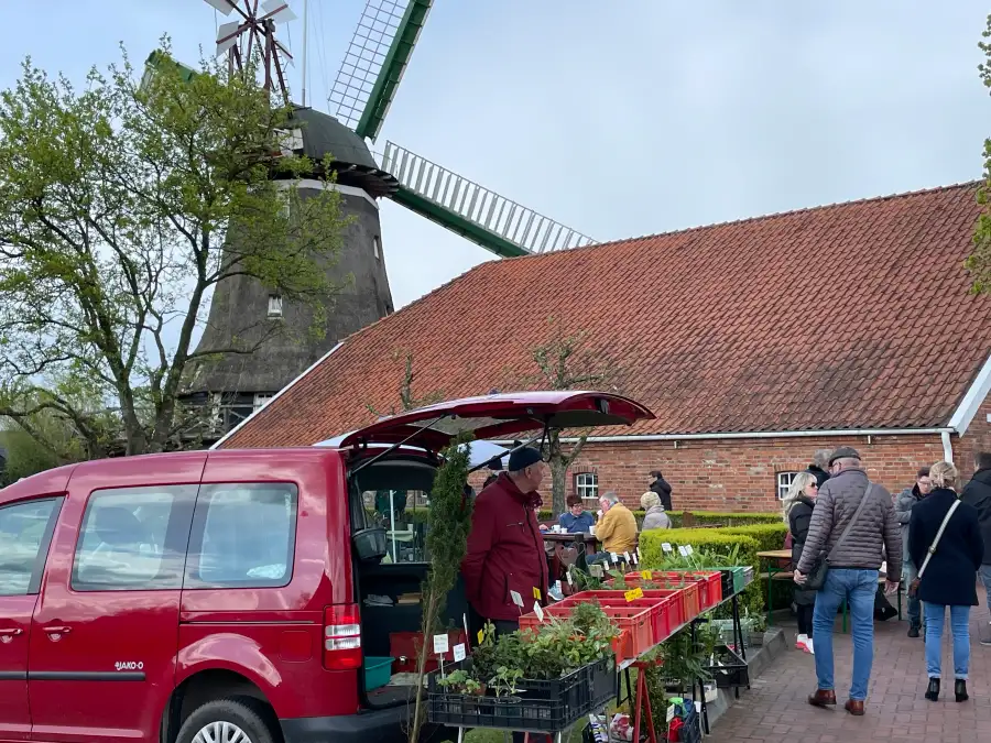 Accumer Mühle startete mit Backtag und Pflanzenmarkt in Saison