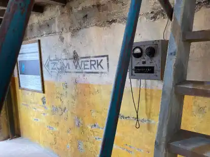 Neue Achterbahn „Ziegelblitz“ im Jaderpark Jaderberg