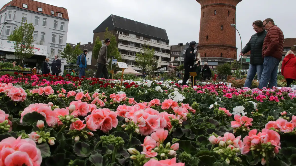 Blumenladen Bremerhaven Sonntags Geoffnet