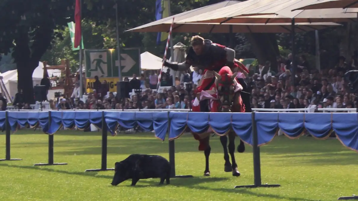 Mittelalterlich Phantasie Spectaculum MPS 2024 in Rastede: Programm bis ...