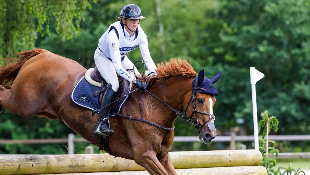 Vielseitigkeit: Reiterin Sandra Auffarth aus Ganderkesee belegt bei ...