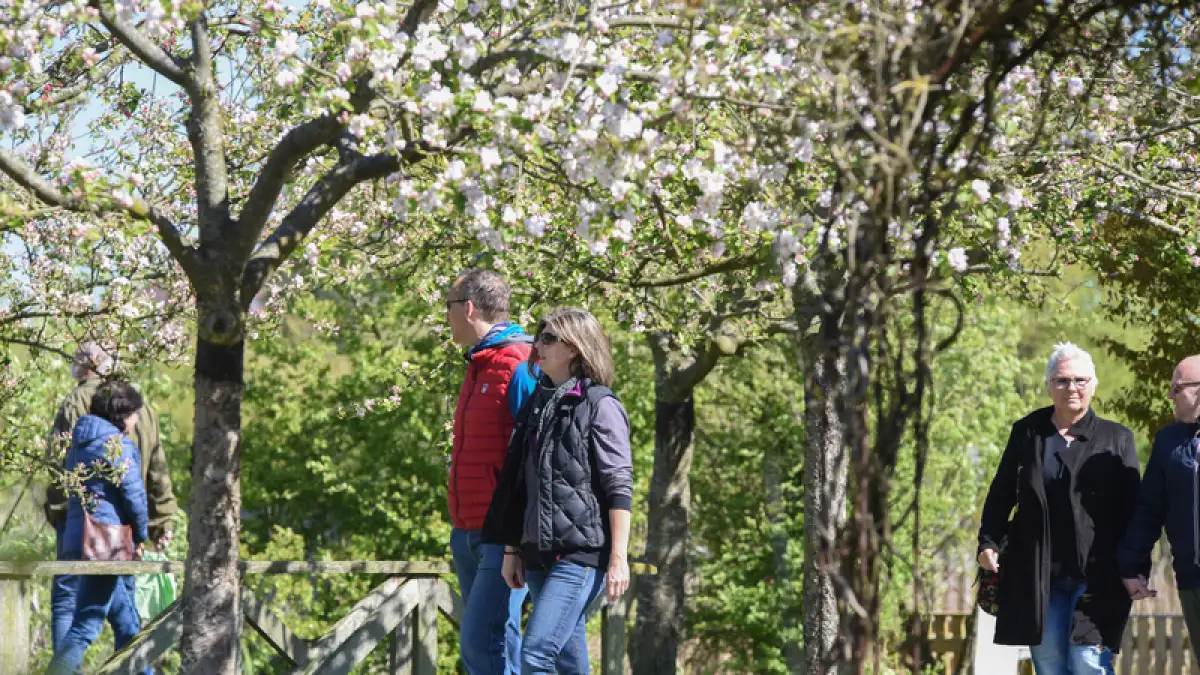 Ökowerk in Emden: Ohne Fördergelder keine Zukunft für Umweltbildung