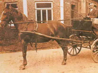 Handwerk: Bäcker Ammen aus Dunum brachte Ostfriesisches Schwarzbrot ...