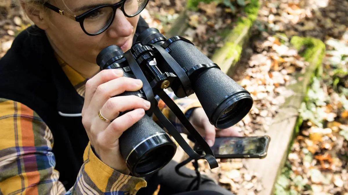 Diese App verrät, welcher Vogel da zwitschert