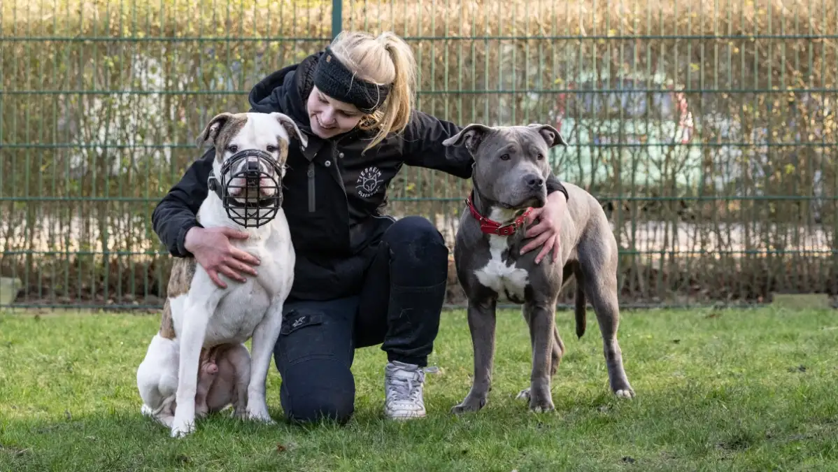 Sie Sind Neuer Halter