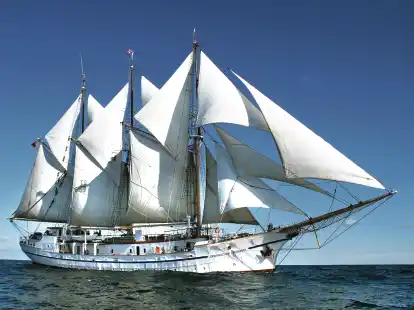Großsegler-Regatta: Großherzogin Elisabeth nimmt am Tall Ship Race teil