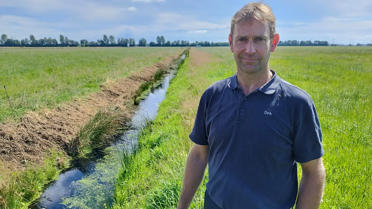Wiedervernässung in der Wesermarsch: Stand des Grünland-Projekts ...