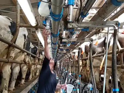 Milchkontrolle Ostfriesland: Krummhörnerin Ina Westermann ist ...